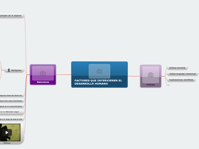 FACTORES QUE INTERVIENEN EL DESARROLLO HUM...- Mind Map
